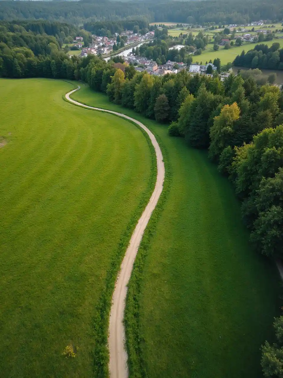 Aerial View of a Winding Path through Lush Green Fields
